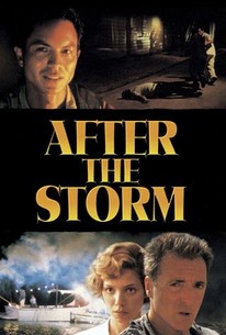 After the Storm | Rotten Tomatoes