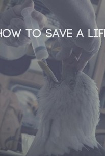 How to Save a Life | Rotten Tomatoes