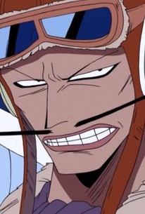 One Piece: Season 6, Episode 24 | Rotten Tomatoes