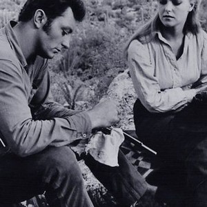 Young Guns of Texas - Rotten Tomatoes