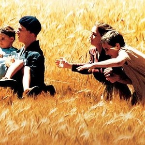 Strayed - Rotten Tomatoes