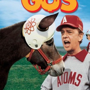 Gus - Rotten Tomatoes