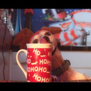 Christmas Freak - Rotten Tomatoes