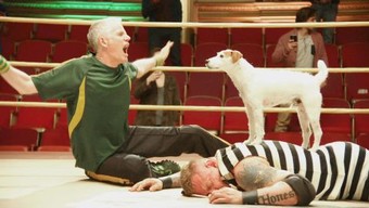 Russell Madness - Rotten Tomatoes