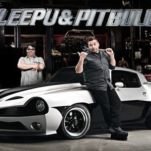 Leepu & Pitbull - Rotten Tomatoes