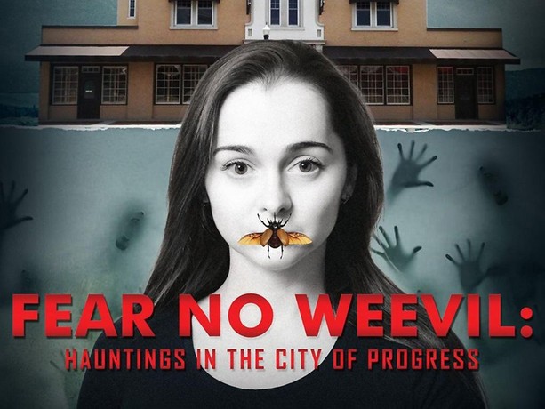 Shannon Pringle's Instagram, Twitter & Facebook on IDCrawl