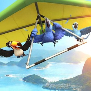 Rio - Rotten Tomatoes