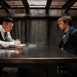 Fantastic Beasts and Where to Find Them - Rotten Tomatoes