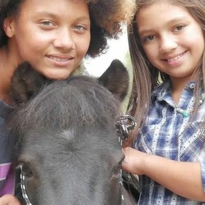 Little Cooper - Rotten Tomatoes