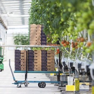 Food Factory - Rotten Tomatoes