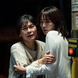 Midnight - Rotten Tomatoes