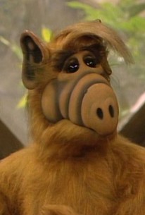 ALF: Season 3, Episode 23 | Rotten Tomatoes