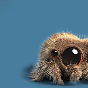 Lucas the Spider - Rotten Tomatoes