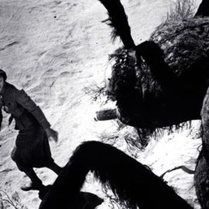 Them! - Rotten Tomatoes