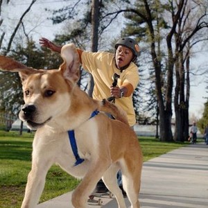 Life Is Ruff (2005) - Rotten Tomatoes