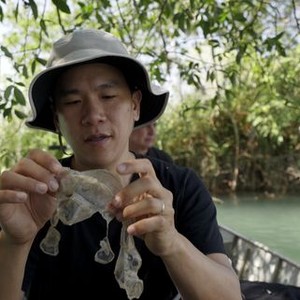 Tales by Light - Rotten Tomatoes