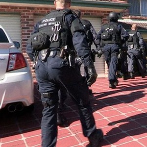 The Force - Rotten Tomatoes