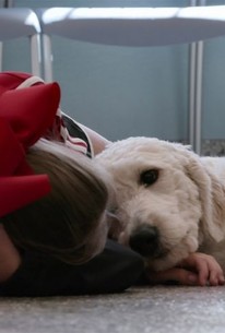 Dogs: Season 1, Episode 1 | Rotten Tomatoes