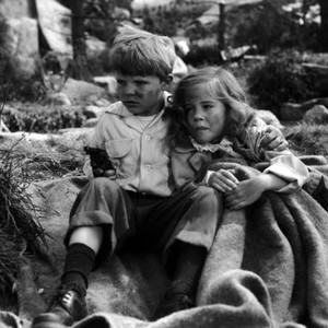Lee Aaker - Rotten Tomatoes