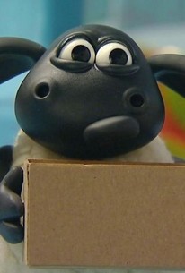 Timmy Time: Season 2, Episode 7 | Rotten Tomatoes