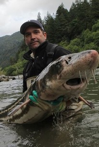 Monster Fish: Season 6, Episode 7 | Rotten Tomatoes