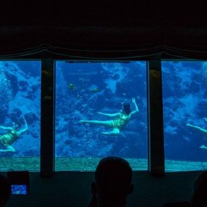 Mermaids - Rotten Tomatoes