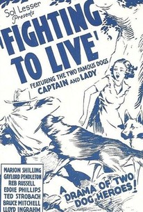 Fighting to Live | Rotten Tomatoes