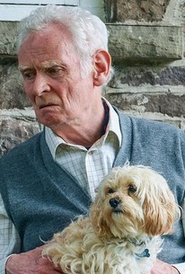 Wolf: Season 1, Episode 6 | Rotten Tomatoes