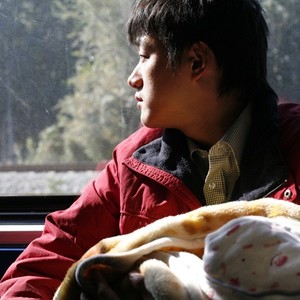 Lost in Beijing - Rotten Tomatoes