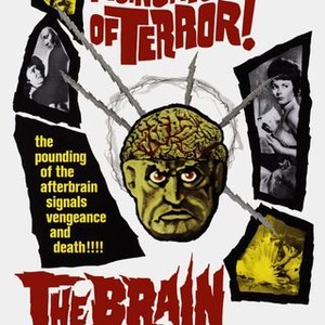 The Brain - Rotten Tomatoes