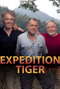 Expedition Tiger | Rotten Tomatoes