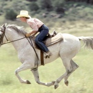 Melissa Gilbert - Rotten Tomatoes