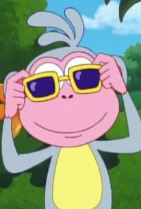 Dora the Explorer: Season 2, Episode 19 | Rotten Tomatoes