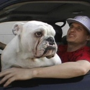 Rob Dyrdek Meaty Puppy