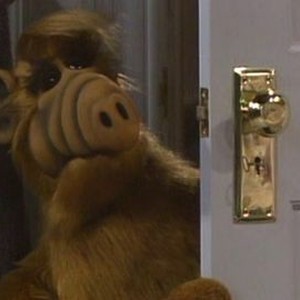 ALF: Season 2, Episode 22 - Rotten Tomatoes