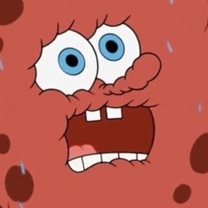 SpongeBob SquarePants: Season 8, Episode 14 - Rotten Tomatoes