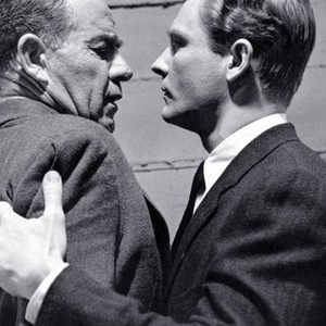 The Couch - Rotten Tomatoes