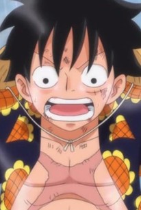 One Piece: Season 17, Episode 93 | Rotten Tomatoes
