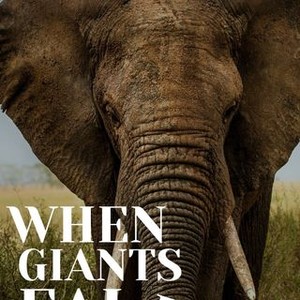 When Giants Fall - Rotten Tomatoes