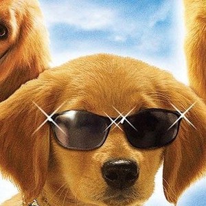 Air Buddies - Rotten Tomatoes