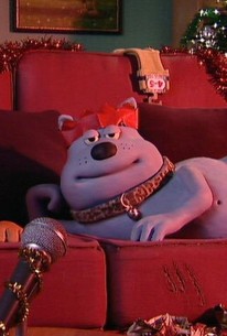 Creature Comforts: Season 1, Episode 13 | Rotten Tomatoes