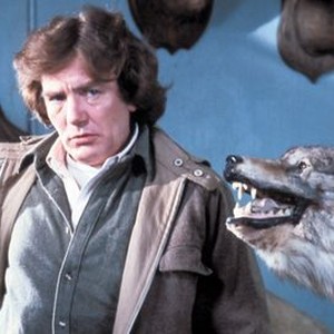 Wolfen - Rotten Tomatoes