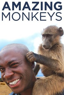 Amazing Monkeys | Rotten Tomatoes