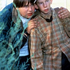 Angus - Rotten Tomatoes