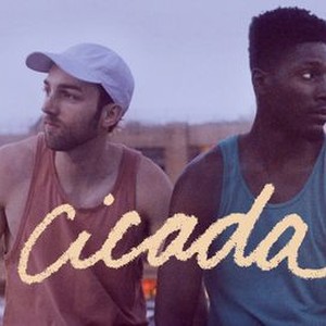 Cicada - Rotten Tomatoes
