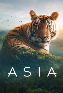 Planet Earth: Asia | Rotten Tomatoes