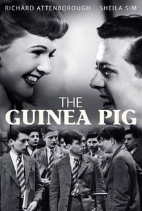 The Guinea Pig - Rotten Tomatoes
