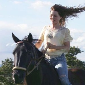 Flicka - Rotten Tomatoes