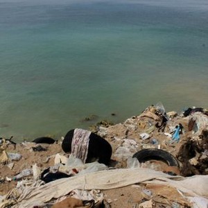 Trashed - Rotten Tomatoes