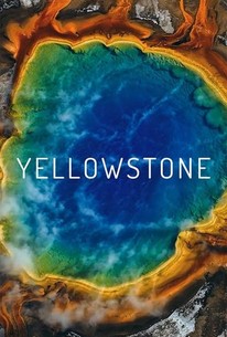Yellowstone (2019) | Rotten Tomatoes